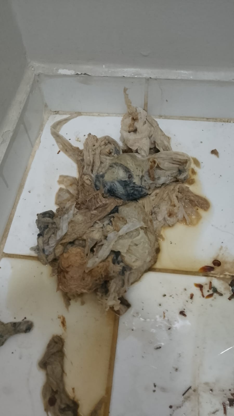 O que é Fossa Rudimentar: Entenda de Forma Simples e Prática